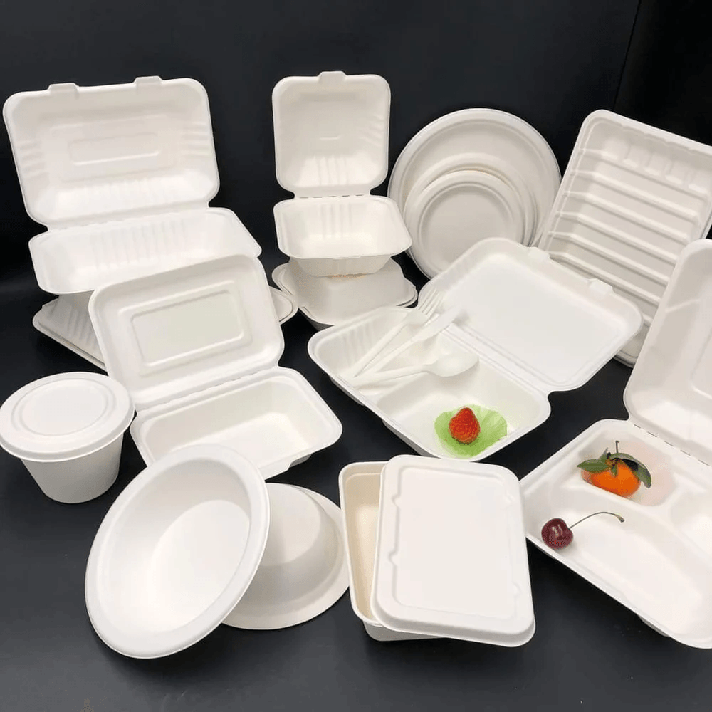 Sugarcane Container – Polar Penguin Packaging